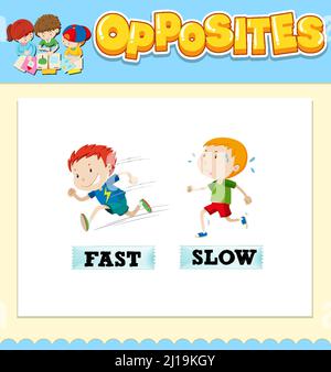 Opposite words for fast and slow Stock Vector Image & Art - Alamy