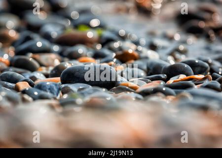 Shiny pebbles on the beach illuminated by the sun, twinkling lights ...