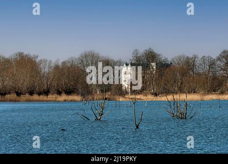Nature reserve at the Mellnitz Ueselitzer Wiek on Ruegen, Mecklenburg ...