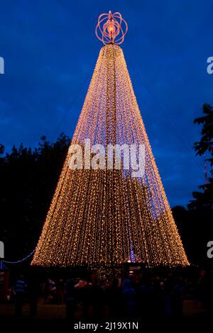 The Telecom Christmas Tree, Victoria Park, Auckland, New Zealand Stock ...