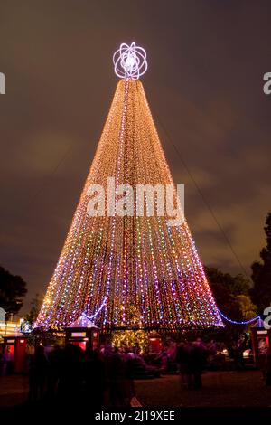 The Telecom Christmas Tree, Victoria Park, Auckland, New Zealand Stock ...