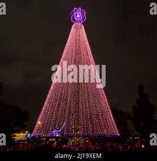 The Telecom Christmas Tree, Victoria Park, Auckland, New Zealand Stock ...