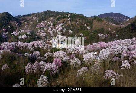Jiangyou. 23rd Mar, 2022. Aerial photo taken on March 23, 2022 shows ...