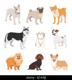 Drawing dog Basenji breed isolated on white background. Vector ...