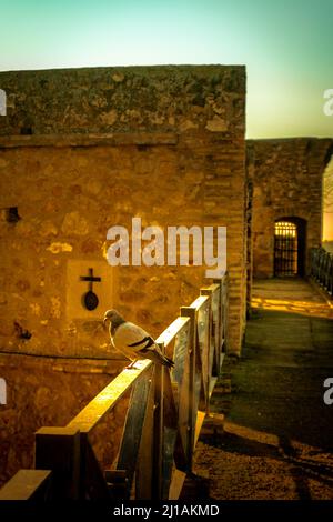 A vertical shot of the Niebla Castle in Spain Stock Photo - Alamy