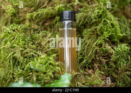 Brown coloured water sample in cuvette from polluted stream Stock Photo ...