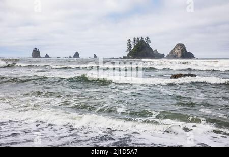 The southern Olympic Coast of Washington State, USA. Giants Graveyard ...