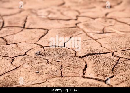 Dried mud surface - dry riverbed earth texture. Drought in India Stock ...