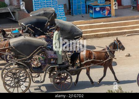 Horse-drawn carriages at Edfu Stock Photo - Alamy