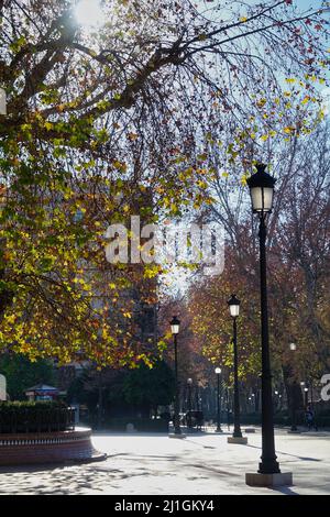 Path in a park with street lamps at night by the lakeshore Stock Photo ...