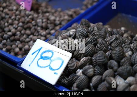Seafood counter with mollusks at food market Stock Photo - Alamy