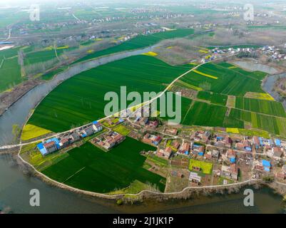 Aerial photo shows the spring scenery in Guancheng Town, Pingnan County ...