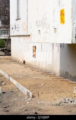 Foundation blind area preparing. Basic formwork marking. Blind area ...