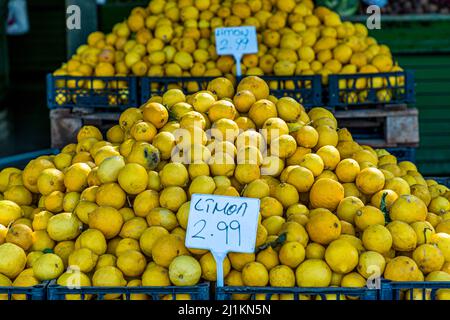 Cyprus is a paradise for citrus fruits. Turkish Republic of Northern ...