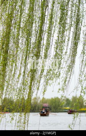 HAIAN, CHINA - MARCH 26, 2022 - Tourists take boats at Xibo Tourist ...