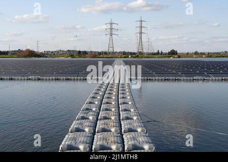 Solar panel farm on a fish pond for electricity generation Stock Photo ...