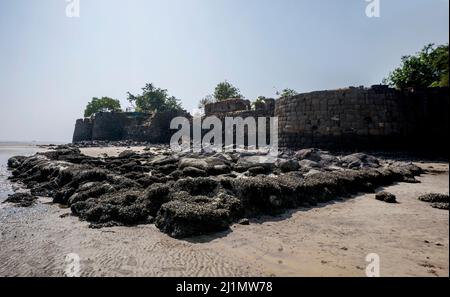Kolaba Fort is an old fortified maritime base in Alibag Konkan It is ...