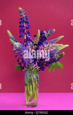 A bouquet of lupines in a vase. Multicolored summer flowers pink and ...