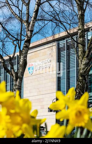Newcastle University shield logo and lettering sign on building in ...