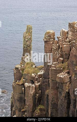 Basalt Columns at Camas Mor Isle of Skye Scotland UK Stock Photo - Alamy