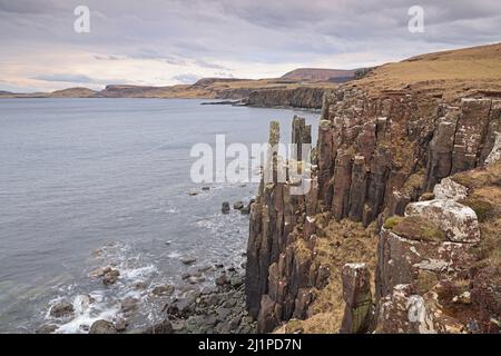 Basalt Columns at Camas Mor Isle of Skye Scotland UK Stock Photo - Alamy
