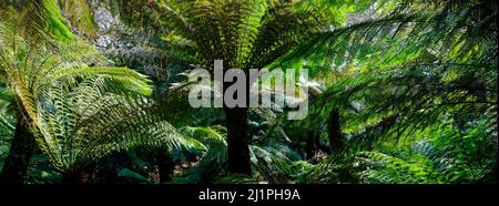 Trewidden Gardens Penzance Cornwall Stock Photo - Alamy