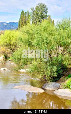 Macdonald River at Bendemeer NSW Australia Stock Photo - Alamy