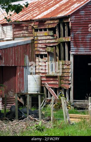 Old barn near Paihiatua, Tararua District, North Island, New Zealand ...