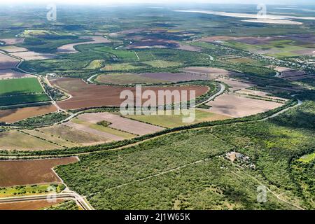 North America, USA, Texas, Cameron Co., San Benito, Altamira Oriole ...