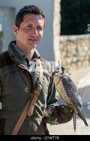 Riedenburg, Germany. 28th Mar, 2022. A European white-tailed eagle sits ...