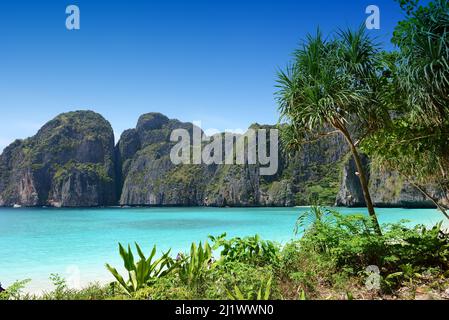 Maya Bay Now Reopened 2022, Amazing Maya Bay on Phi Phi Islands ...