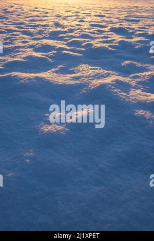 The sun sets over a field covered in snow highlighting the undulating ...