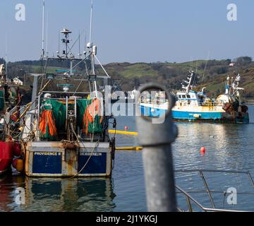 On fishing trawler in Irish Sea. 4-man crew work on 1 of the last ...