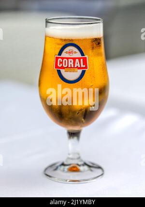 Coral beer in a glass. Coral beer is brewed in Madeira Stock Photo - Alamy