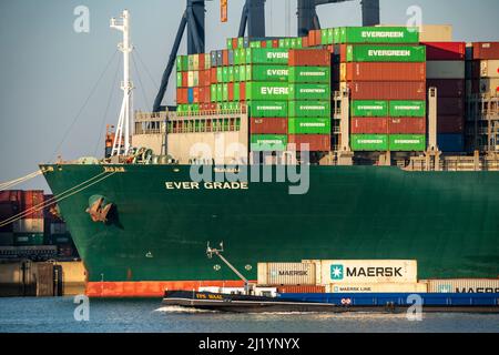 Euromax Container Terminal, container freighter Ever Genius, Evergreen ...
