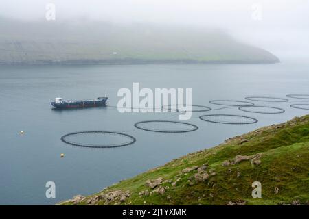 Salmon farm, Vidoy Island, Faroe Islands, Denmark Stock Photo - Alamy