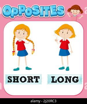 Opposite words for short and long illustration Stock Vector Image & Art ...