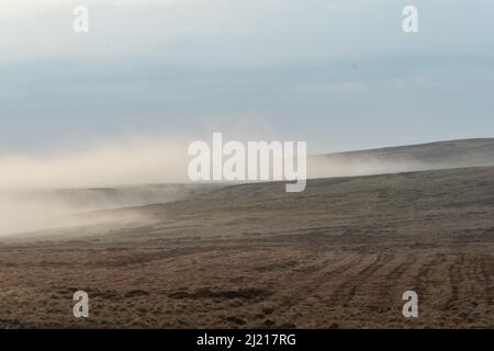 Mist over a moor in Northumberland, UK Stock Photo - Alamy