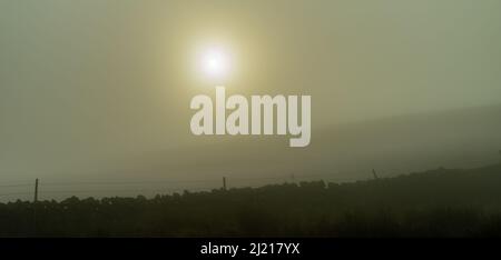 Mist over a moor in Northumberland, UK Stock Photo - Alamy