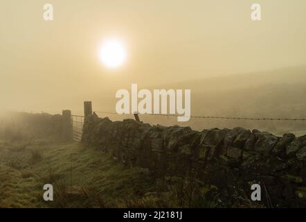 Mist over a moor in Northumberland, UK Stock Photo - Alamy