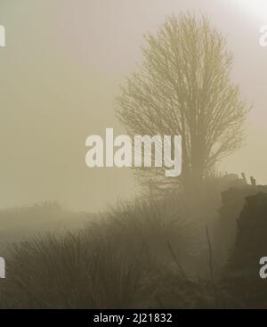 Mist over a moor in Northumberland, UK Stock Photo - Alamy