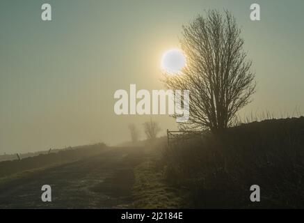 Mist over a moor in Northumberland, UK Stock Photo - Alamy