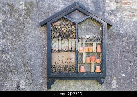 Large wall-mounted bug or insect hotel in Devon Stock Photo - Alamy