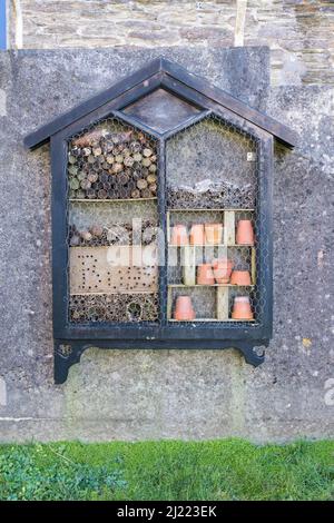 Large wall-mounted bug or insect hotel in Devon Stock Photo - Alamy