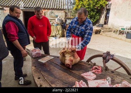 PAREDES DE COURA, PORTUGAL - MARCH 07, 2022: Butcher killed pig for old ...