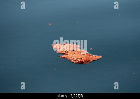 blue whale red krill faeces excrement Stock Photo - Alamy