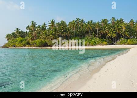 Remote tropical island paradise with thick forest vegetation of coconut ...