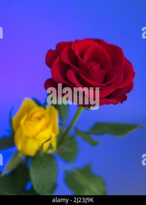 Kaleidoscopic background with bright purple and blue colors Stock Photo ...