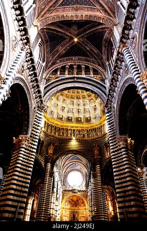 Ceiling of the Duomo in Siena, Italy Stock Photo - Alamy