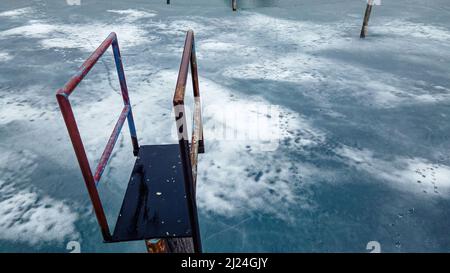 Wood duck tracks are scattered around this crude diving platform on a ...